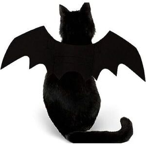 Cat | Pet Cat Bat Costume Wings For Halloween Party Decoration Cat ...